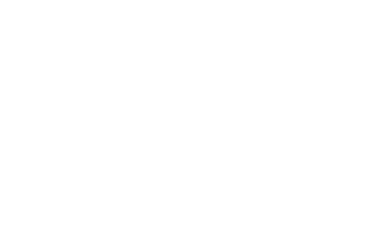 Hector Chicken - poulet rôti et frit à Bruxelles et Anvers